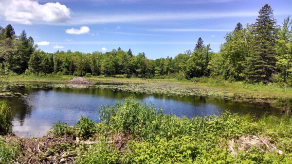 Baraga County, Upper Peninsula of Michigan, Hotels, Events, Thigns to do